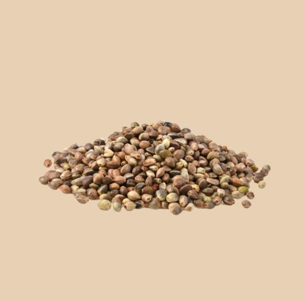 Hemp Seeds 100g – Well Beings