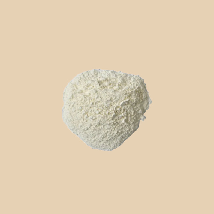 Shark Cartilage Powder 100g – Well Beings