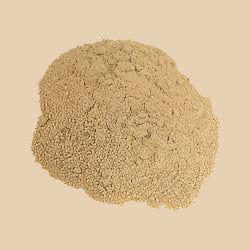Green Lipped Mussel Powder 100g – Well Beings